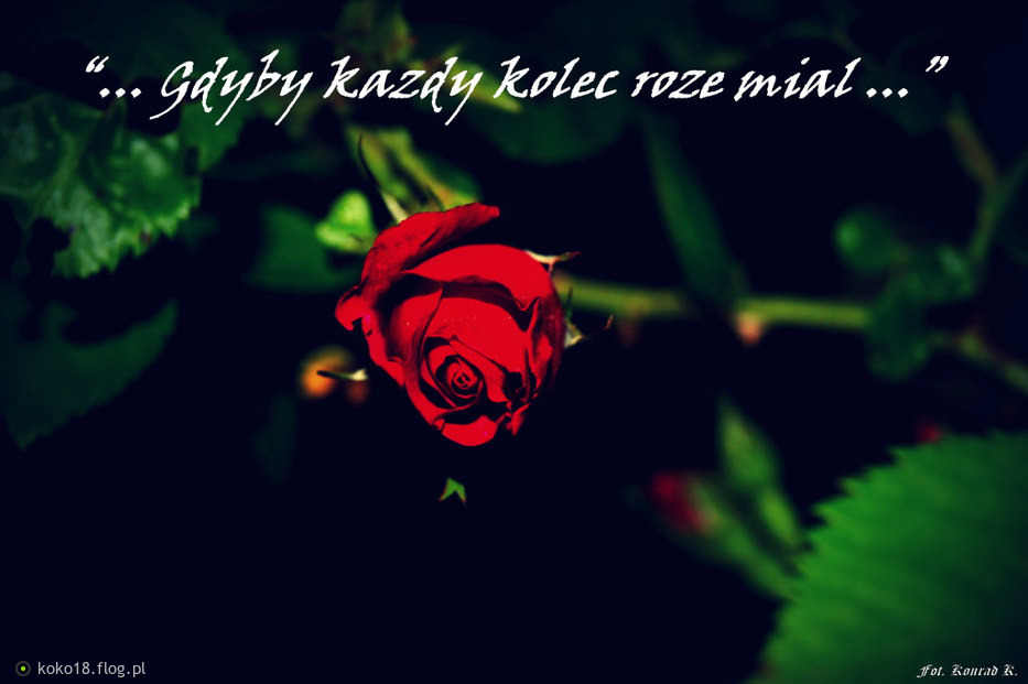 ...czym dziś jest miłość, czym jest radość, czym jest szczęście...kto ... ...czym dziś jest miłość, czym jest radość, czym jest szczęście...kto ...